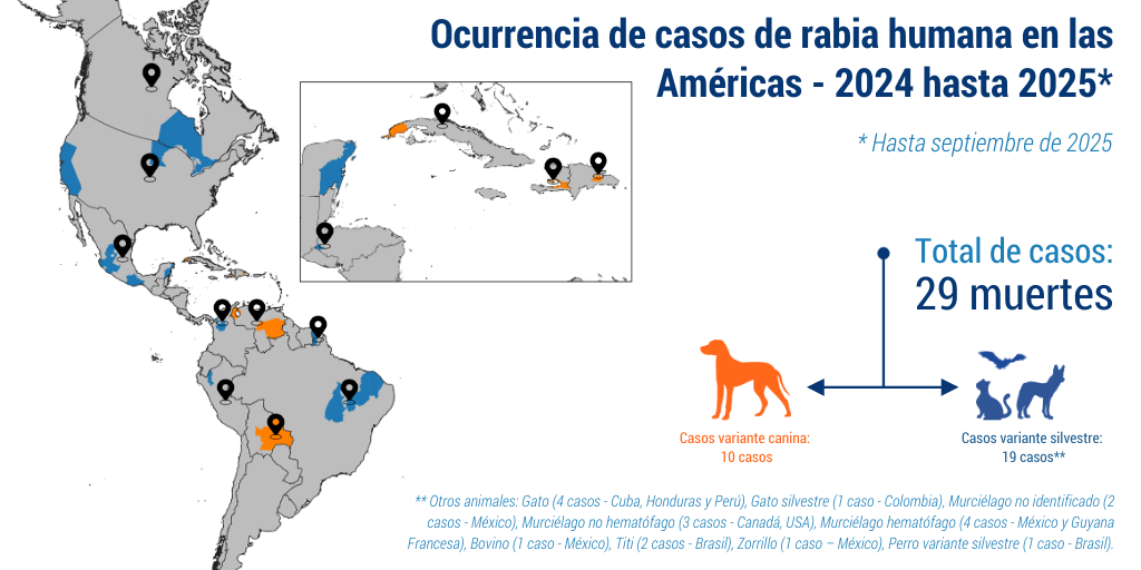 Ocurrencia de casos de rabia humana en las Américas en 2023 y 2024 by PAHO - Infogram