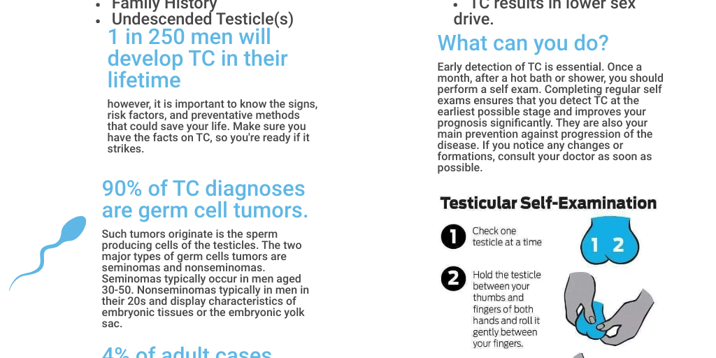 Testicular Cancer Infographic - Infogram