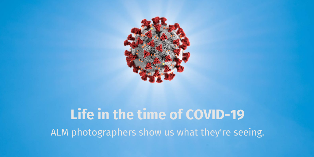 COVID-19 photos by ALM Media LLC - Infogram