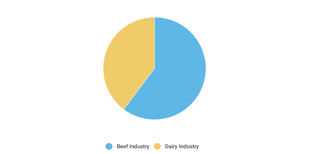 Infographic: Cows by Alyssa Heldt - Infogram
