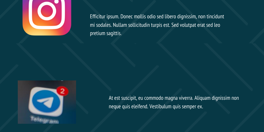 Timeline Infographic by Celeste Cedillo - Infogram