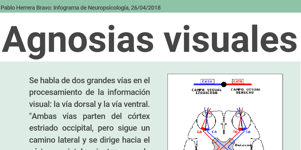 Agnosias visuales/ Neuropsicología - Infogram