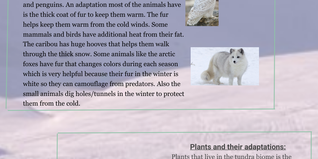 Tundra Biome Poster-Kaitlin Cheng-4 Period - Infogram