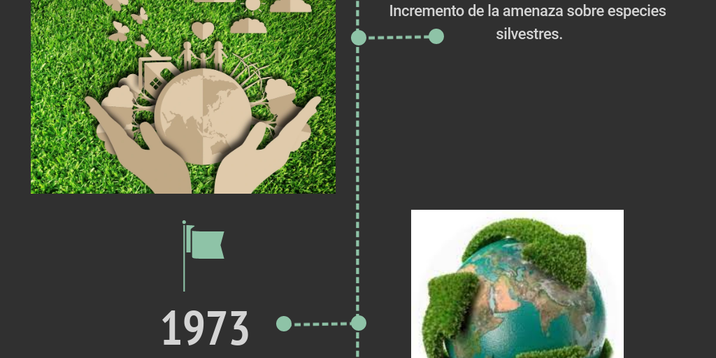 Convención Para La Protección De La Flora De La Fauna Y De Las