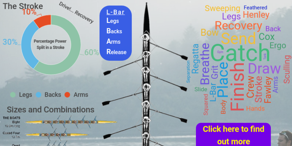 Rowing Infographic - Infogram