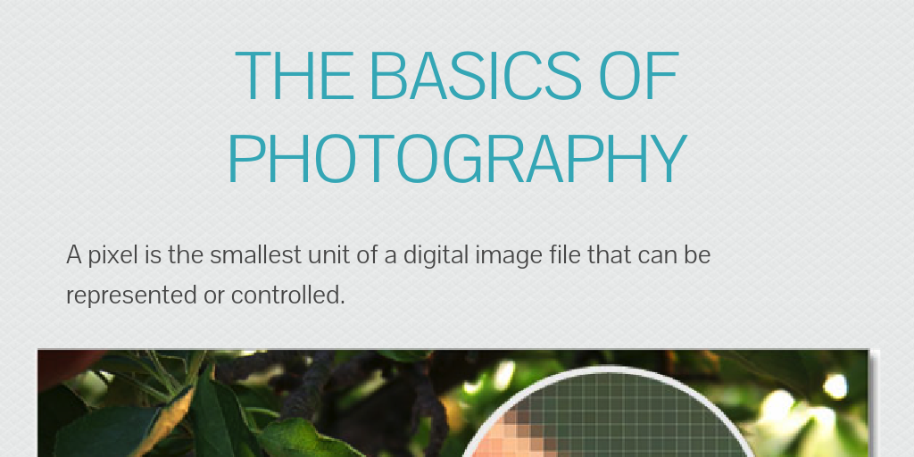 The Basics of Photography - Infogram