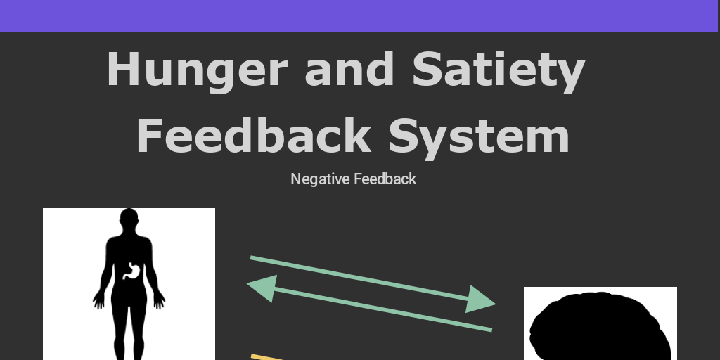 Hunger and Satiety Feedback System - Infogram