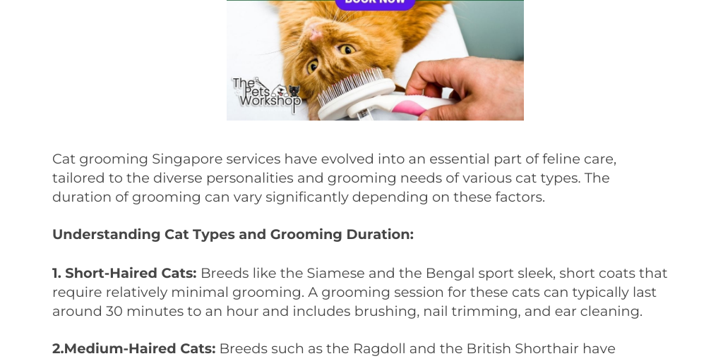 Understanding Cat Types and Grooming Duration:- The Pets Workshop by ...