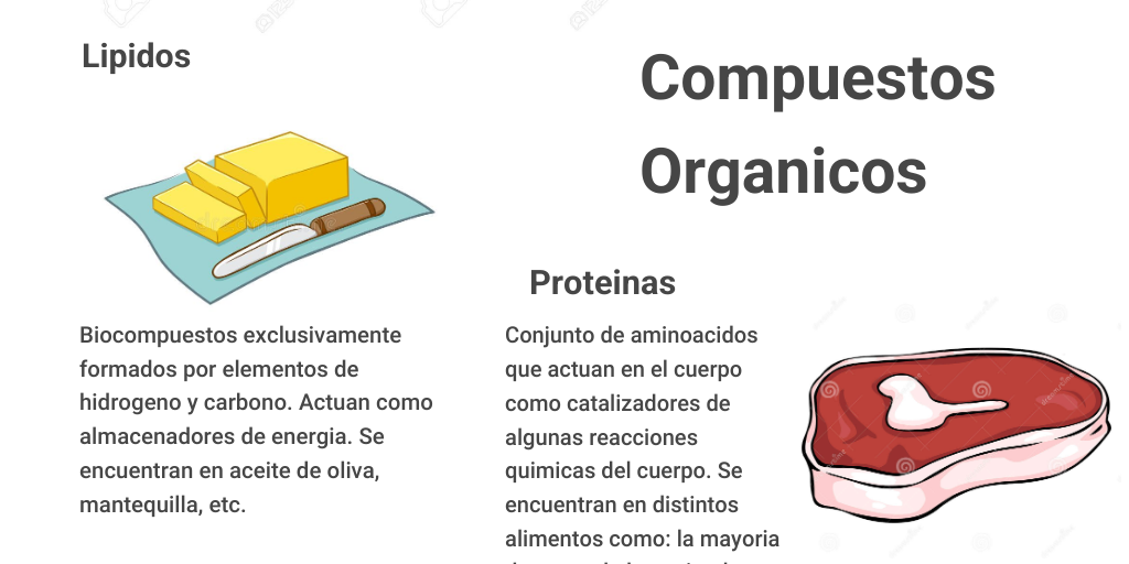 Infografia BioCompuestos - Infogram