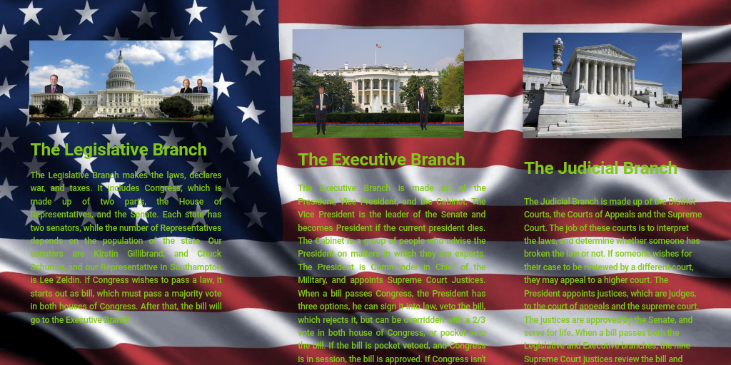 3 branches of government infographic by Joshua Taraku - Infogram