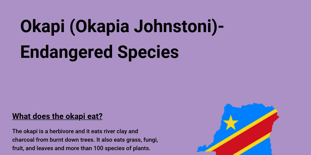 Okapi Population Project by Miriam Hizey - Infogram