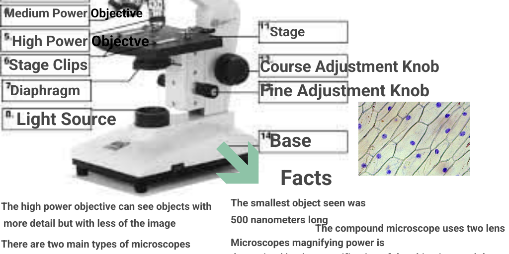Microscope Infogram by Parker Rector - Infogram