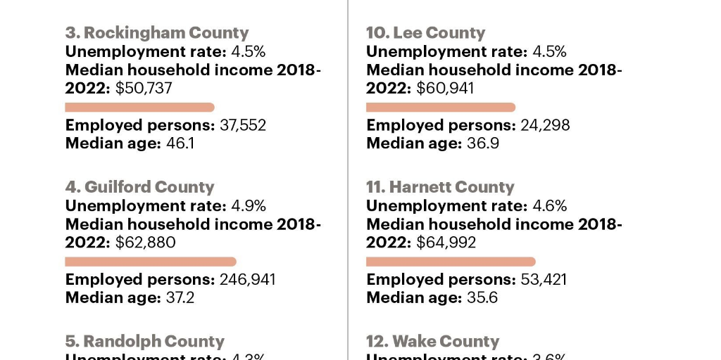 Labor Pool graphicDAta by Jacqueline Prins - Infogram