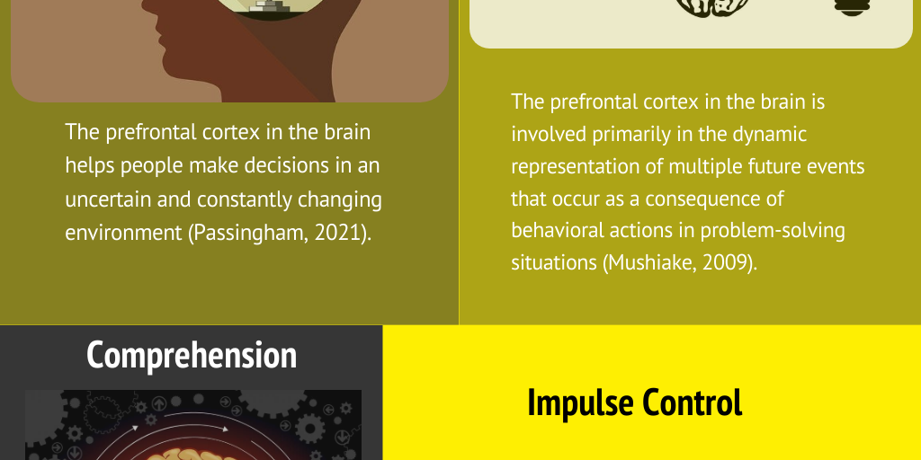 Prefrontal Cortex Infograph by Jenn Hodges - Infogram
