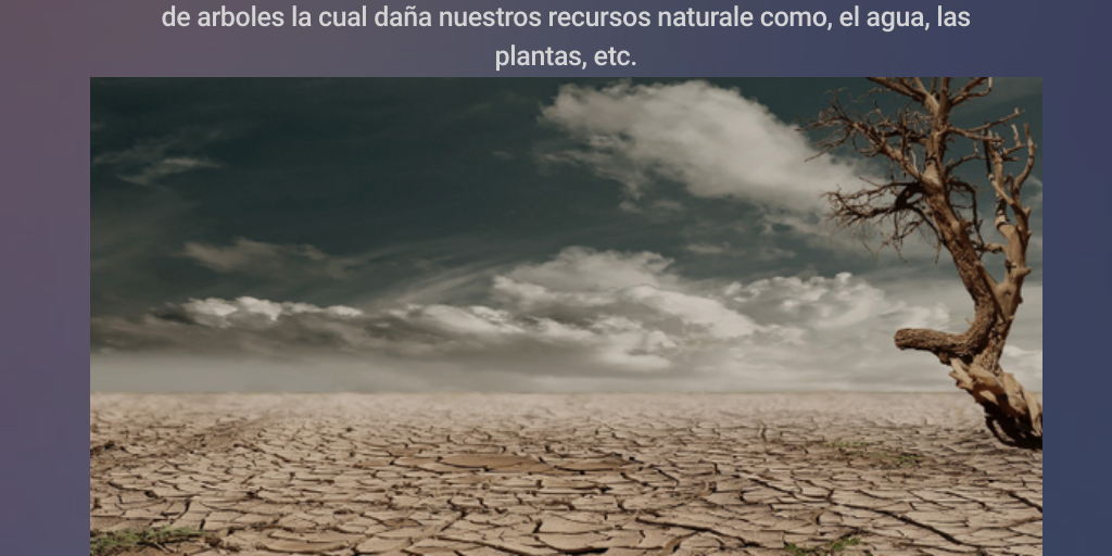 Infographic Modern by Omar Zeferino Najera Rivera - Infogram