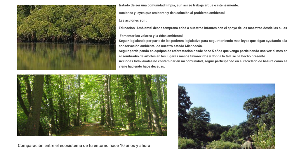 Ecosistema tepalcatepec Michoacan - Infogram