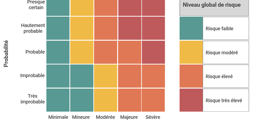 Figure 1 - Matrice de risque - Infogram