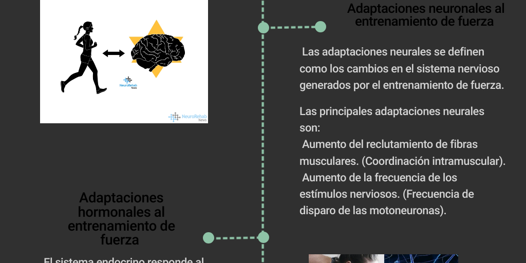 Adaptaciones hormonales al ejercicio - Infogram