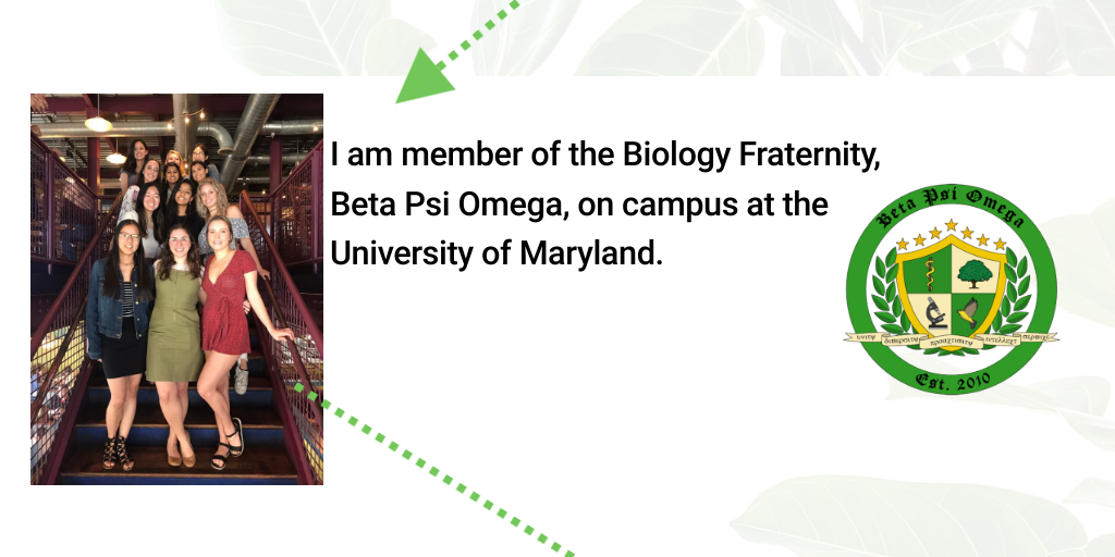 Infographic: Allison Fagan by Allison Fagan - Infogram