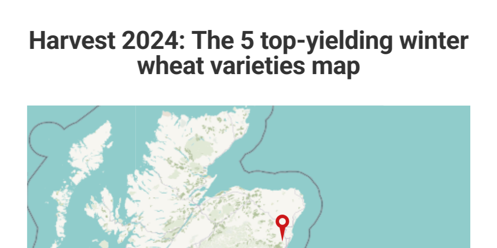 Harvest 2024: The 5 top-yielding winter wheat varieties map - Infogram