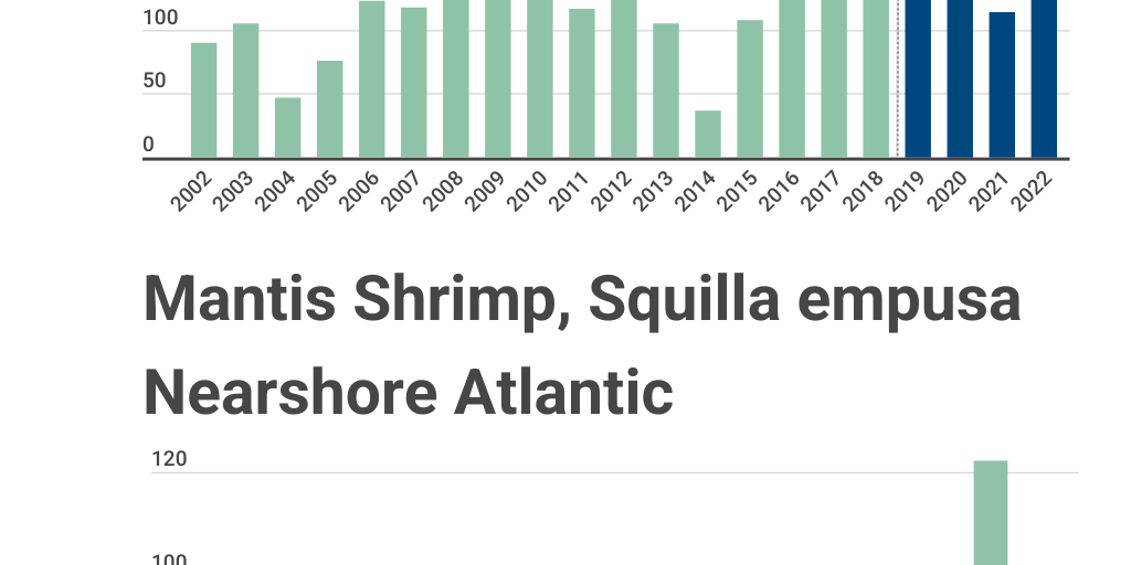 Mantis Shrimp, Chesapeake Bay - Infogram