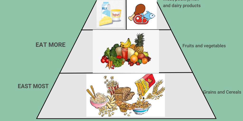 Food Pyramid - Infogram