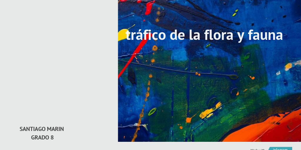 Infografia Trafico De Flora Y Fauna Infogram