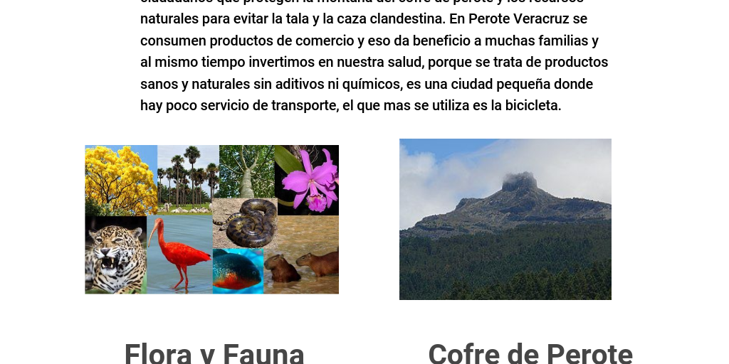 Convencion Para La Protección De La Flora De La Fauna Y De Las