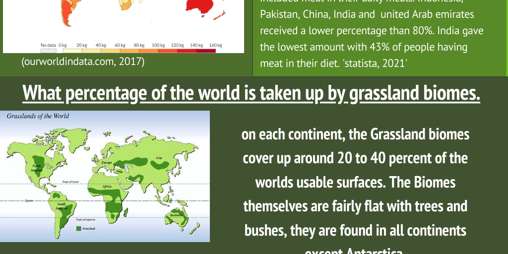 Neon Maps - Infogram
