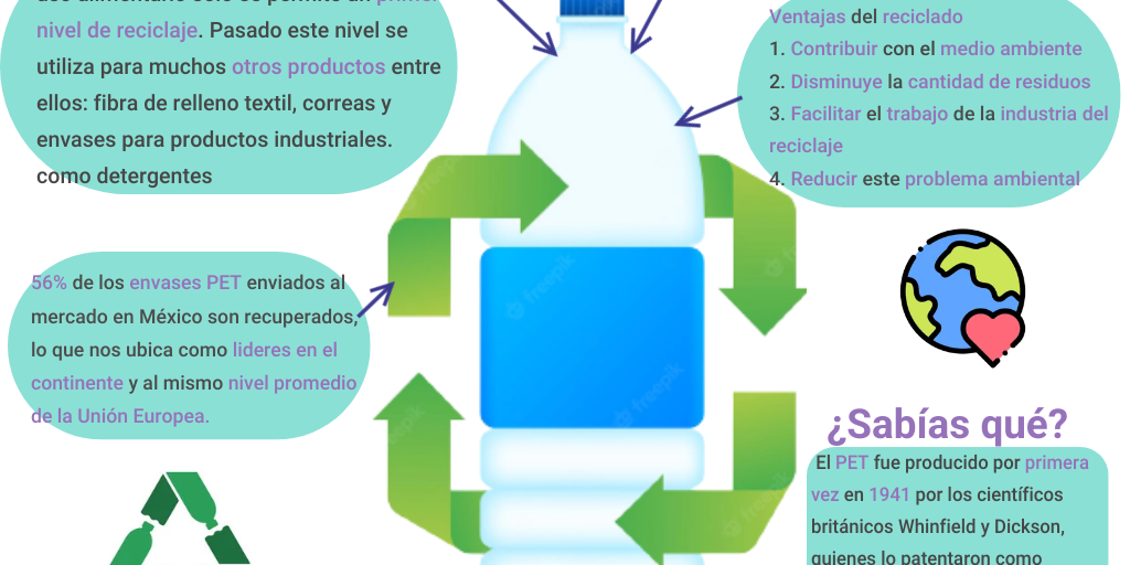 Infografía "RECICLAJE DEL PET" - Infogram