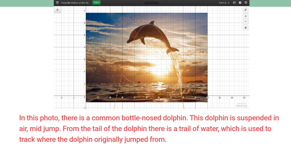 Dolphin Parabola - Infogram