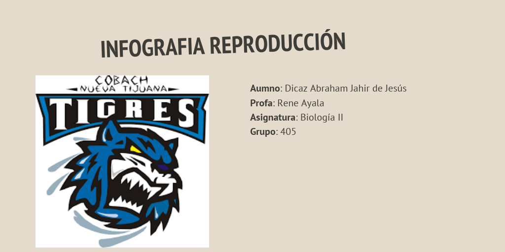 Ocean Sand by Jahir Diaz - Infogram