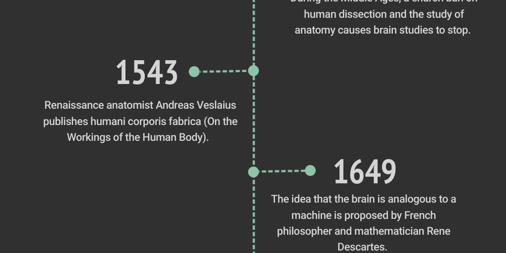History of the Brain - Infogram