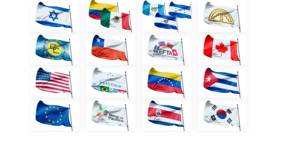 INFOGRAFIA_ ET_PRODUCTIVA_02_ELAC_Guía 01 by angelo navas - Infogram