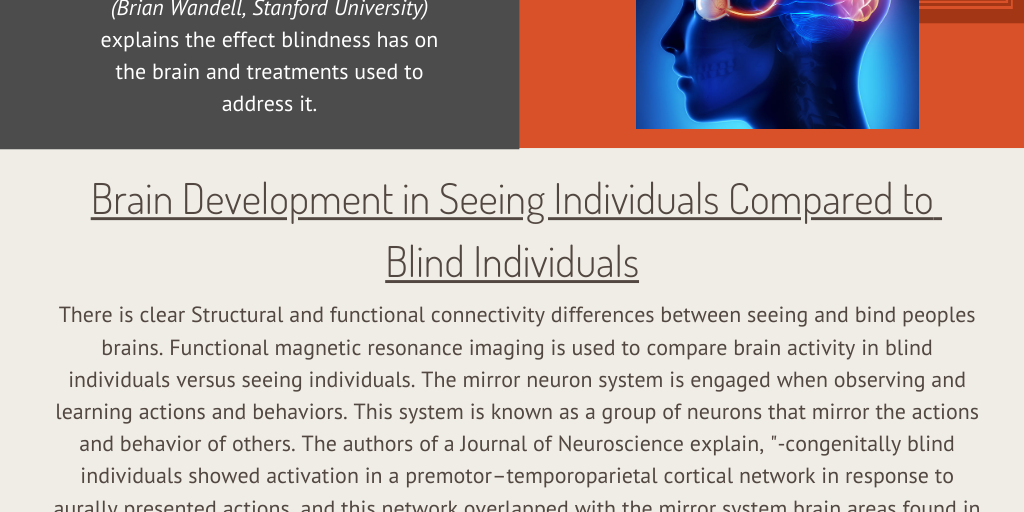 Blindness and the Brain Infographic by Kasey Farner - Infogram