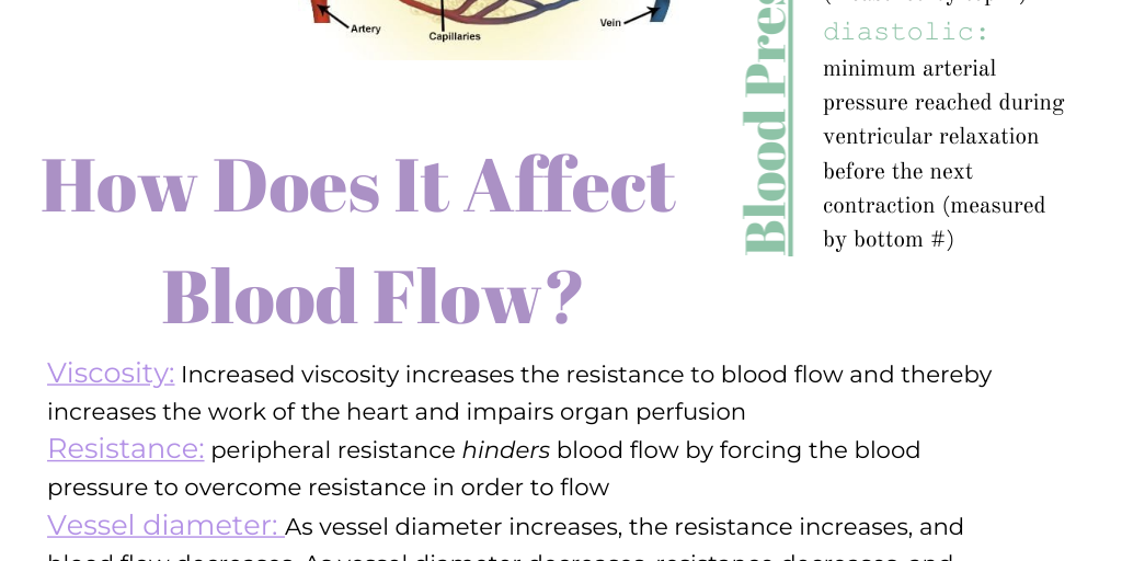 Anatomy Blood Vessels Infographic - Infogram