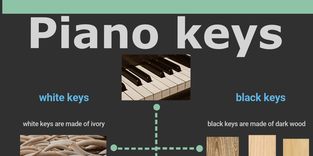 dissection map of piano keys Samantha Dewey by samantha dewey - Infogram