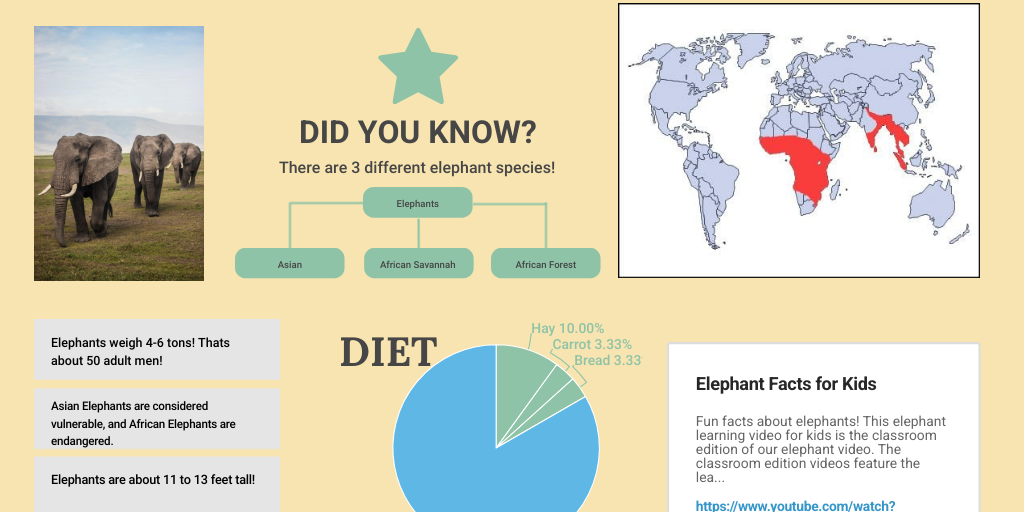 Infographic on Elephants by Bailey Otto - Infogram