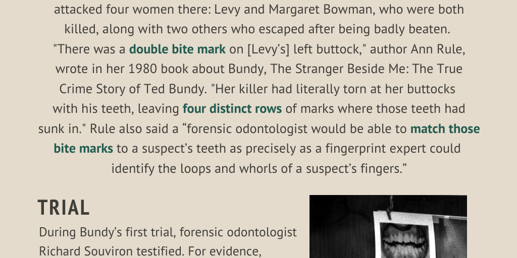 Reilly Evans Ted Bundy Infographic - Infogram