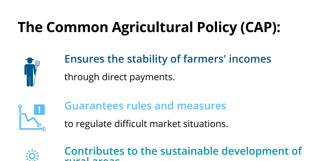 Farm To Fork Infographic 1 - CAP - Infogram