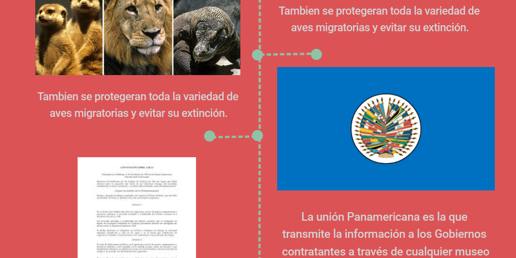 Convenio Oea Convención Para La Protección De La Flora Fauna Y