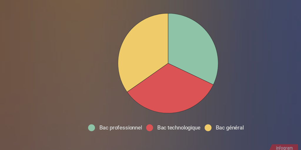 Infographic Modern by Murielle Bouchard - Infogram