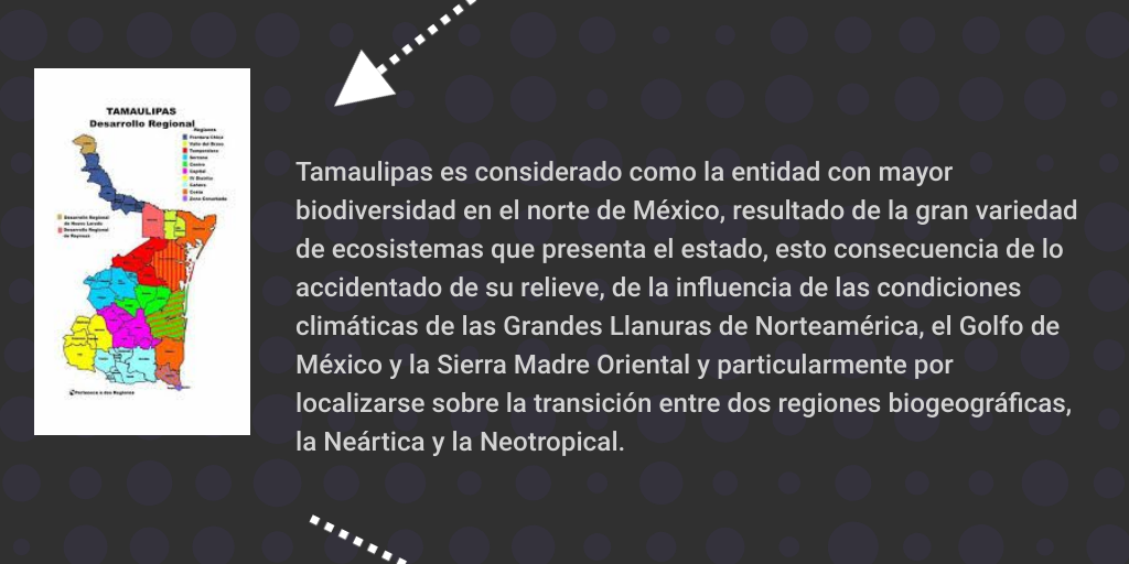 politicas ambientales Actividad integradora 6 by Nayvi merary Cruz ...