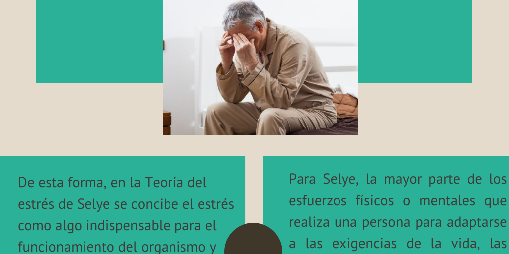 La teoria del estres - Infogram