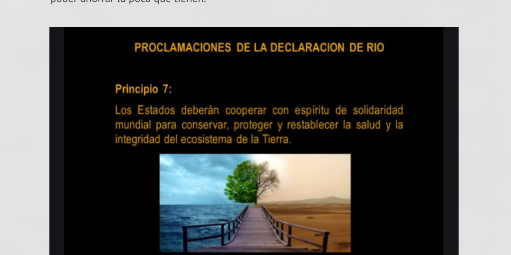 Declaración de rio sobre el medio ambiente - Infogram