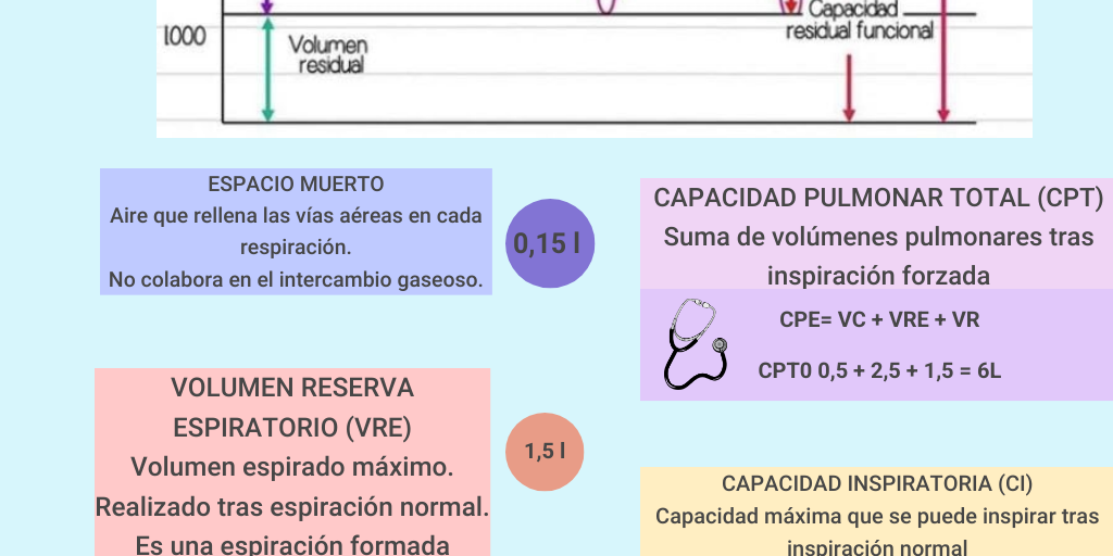 Amaya R. Montes González - Infografía volúmenes y capacidades ...