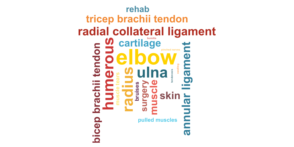 Structure of an Elbow & Functions by kaseykrenek - Infogram