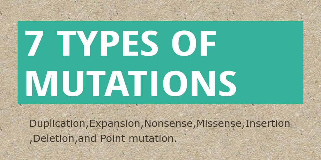 7 types of mutations by latajha - Infogram