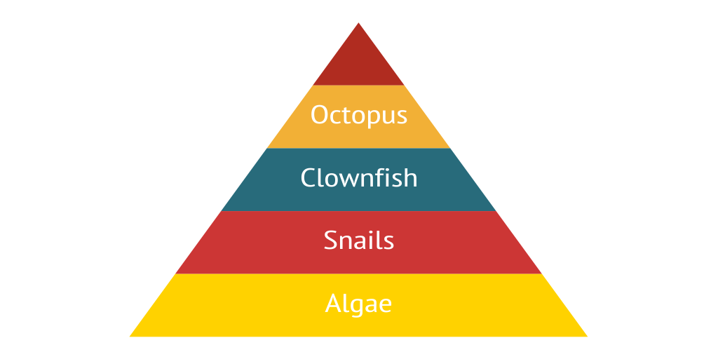 Underwater Food Chain - Infogram