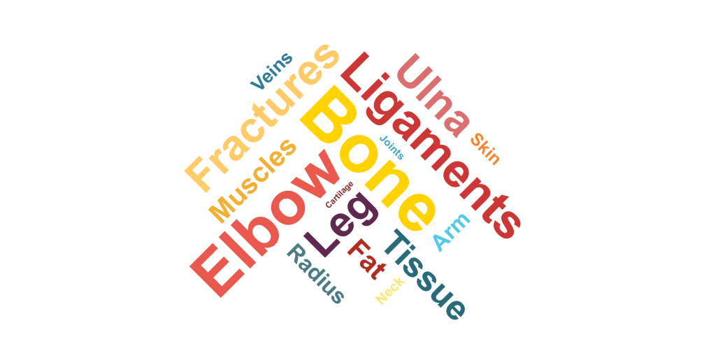 Functions & Structures of the Elbow by msrenae10 - Infogram